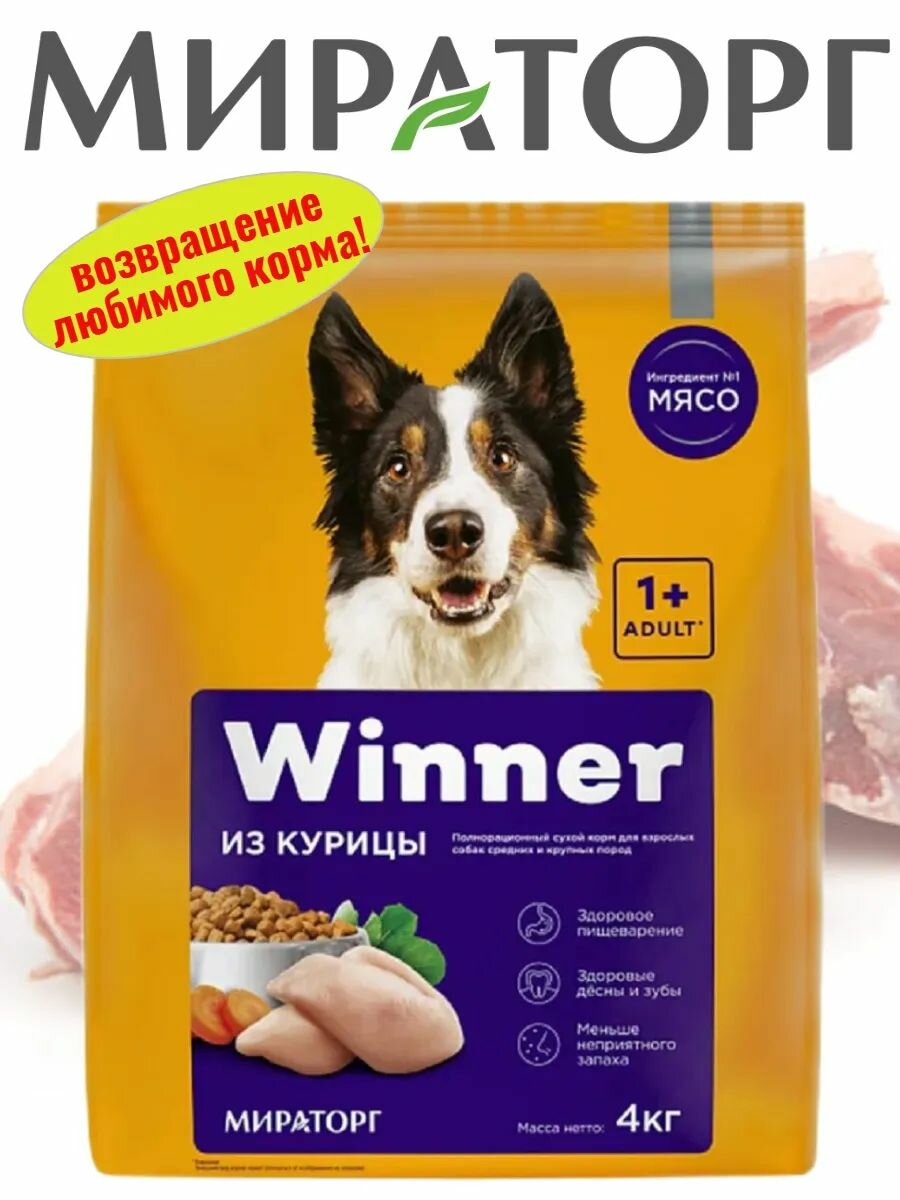 Корм Winner для собак средних и крупных с курицей 4 кг