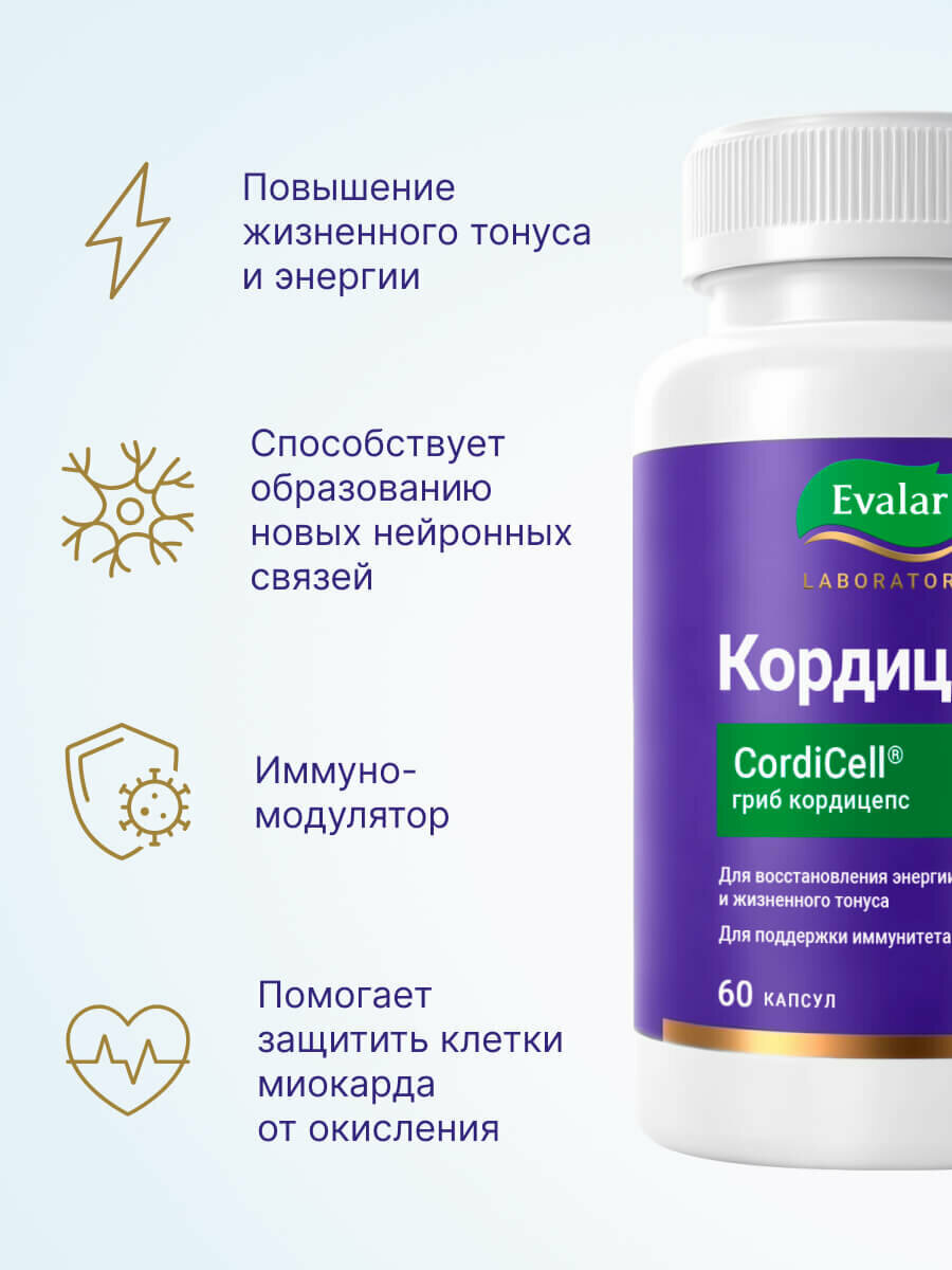 Кордицелл Evalar Laboratory, для энергии и иммунитета, 60 капсул — фото 1