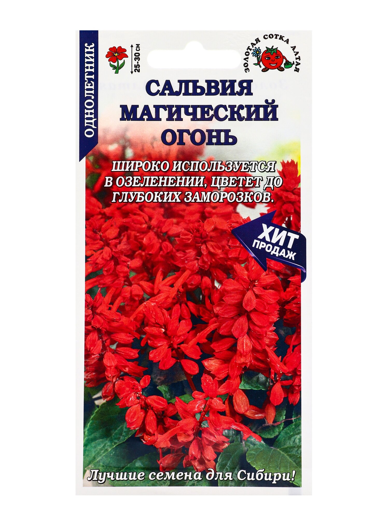 Сальвия «Магический огонь», семена, 0.1 г, «Золотая Сотка Алтая»