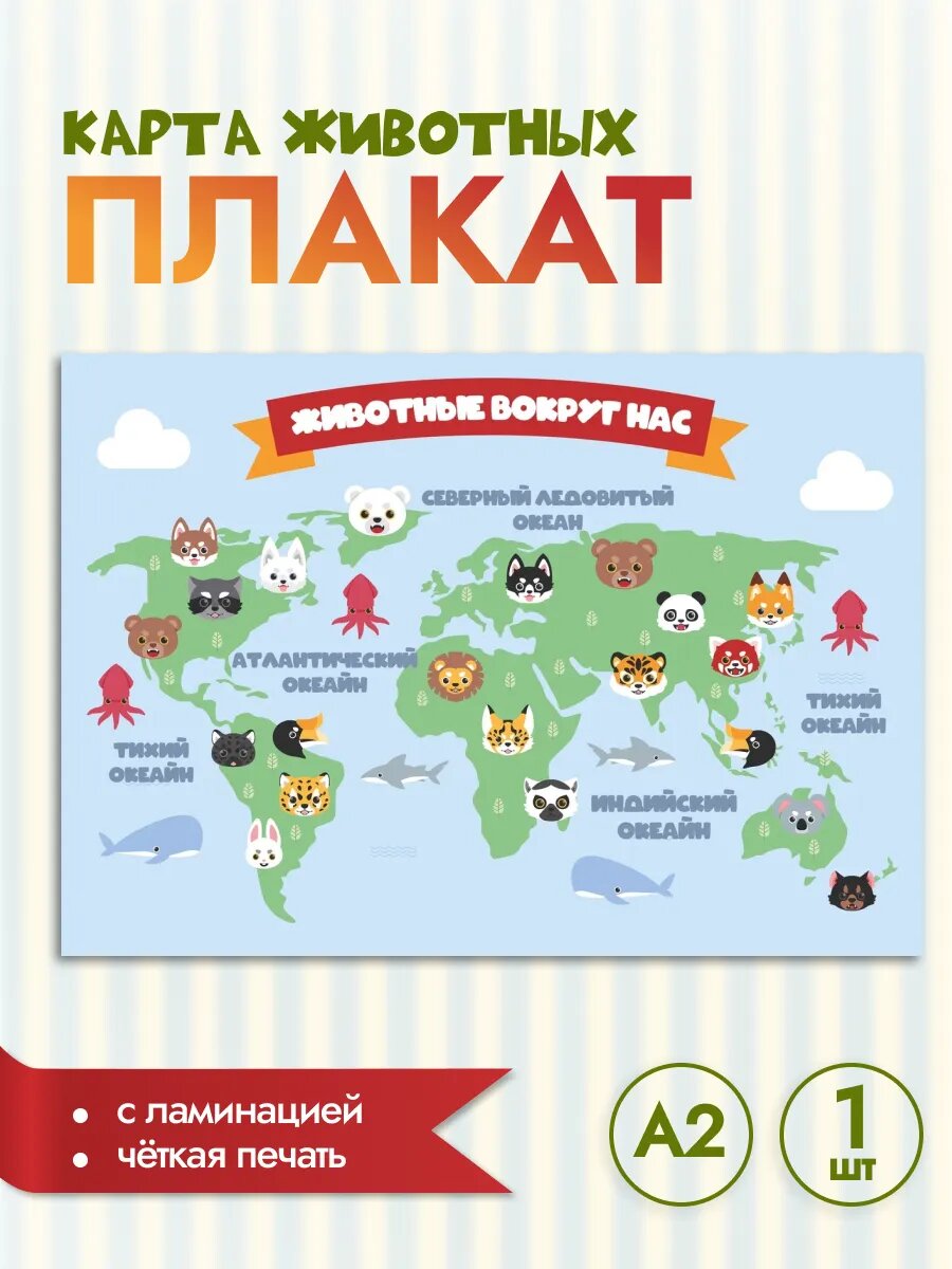 Плакат, карта животных вокруг нас