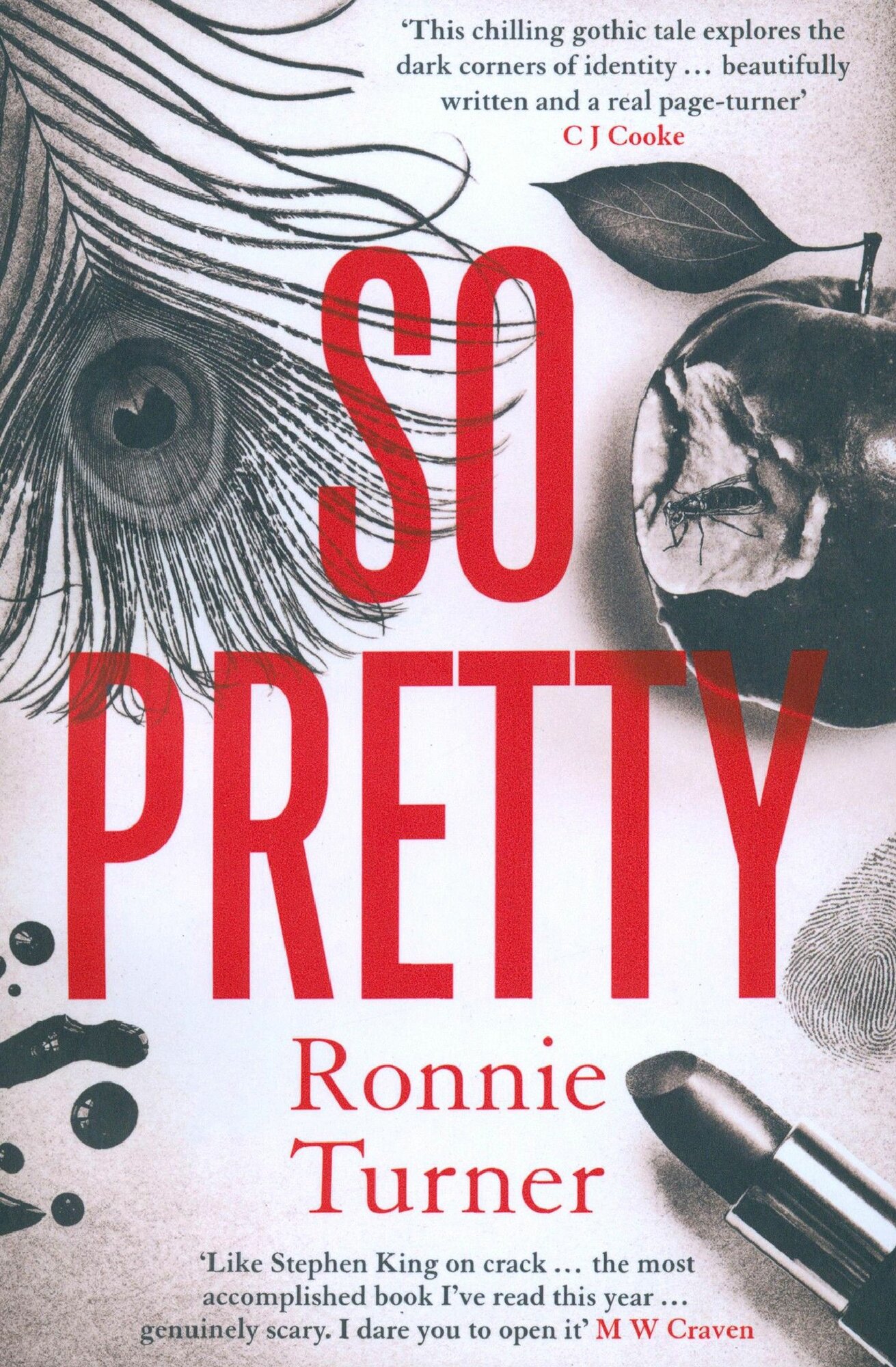 So Pretty / Книга на Английском | Turner Ronnie