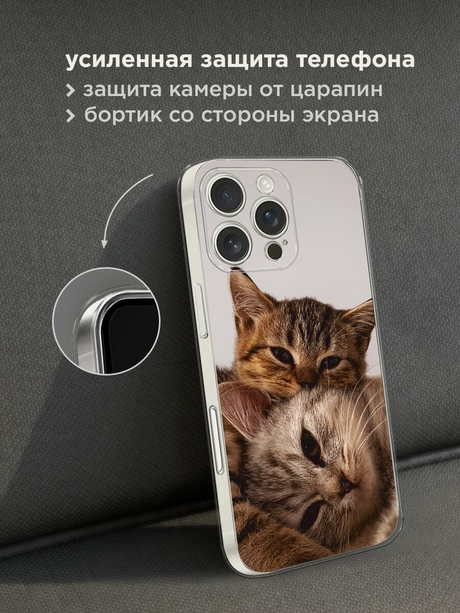 Чехол на Apple iPhone 16 Pro Max / Айфон 16 Про Макс с принтом "Нежные котята - 14 февраля" — фото 1