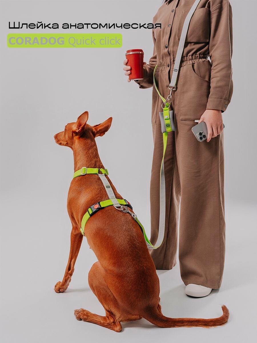 Шлейка прогулочная анатомическая для средних и крупных пород собак, CORADOG Quick click, размер M, цвет салатовый, серый