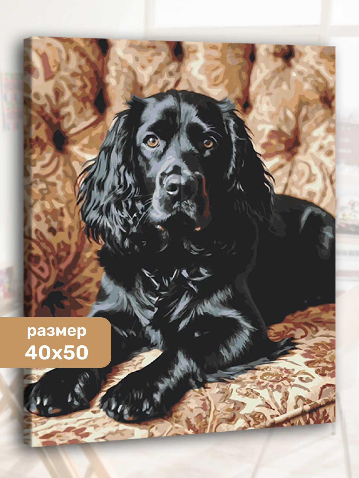 Картина по номерам на холсте и подрамнике "Черный спаниель" 40x50 см