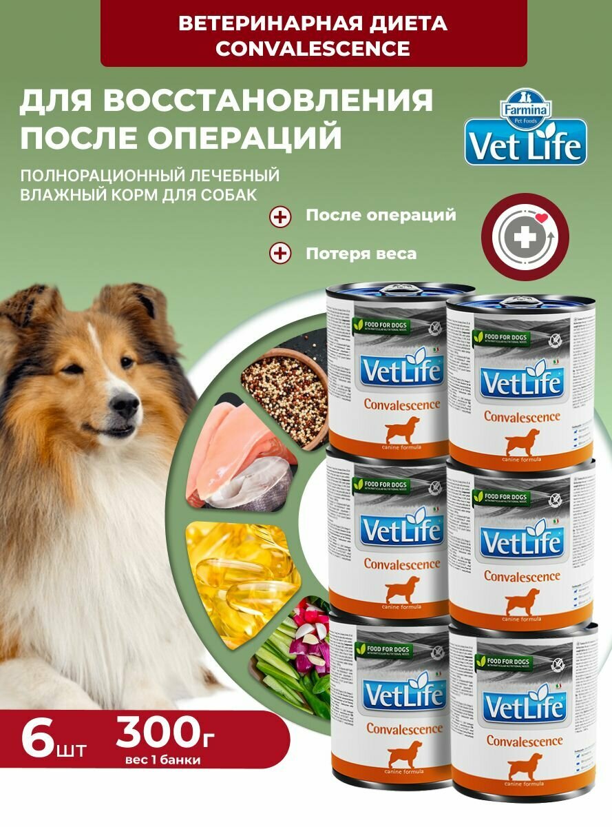 Влажный диетический корм Vet Life Farmina Для собак, Вет Лайф паштет конвалесценсе Фармина 300 г - 6 шт Convalescence Восстановление после болезни, после операции, для ослабленных