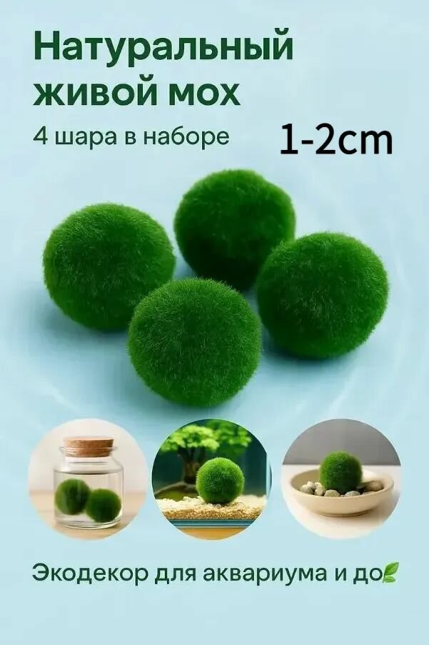 Милые шарики маримо, 4 шт.