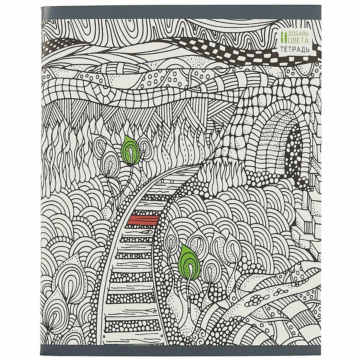 Тетрадь в клетку Unnika, "Раскрась свой мир", 48 листов