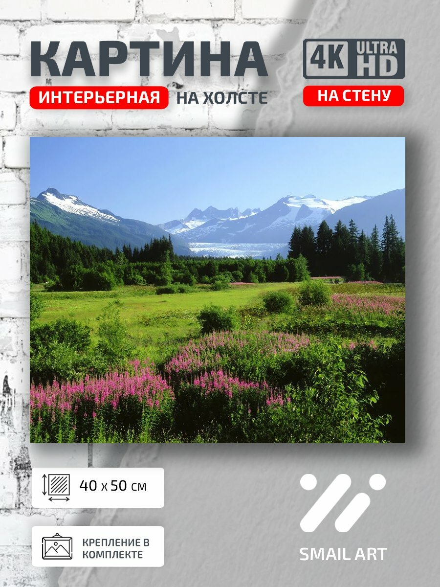 Картина на холсте интерьерная 40 на 50 на стену Аляска Alaska для кабинета атмосфера декор