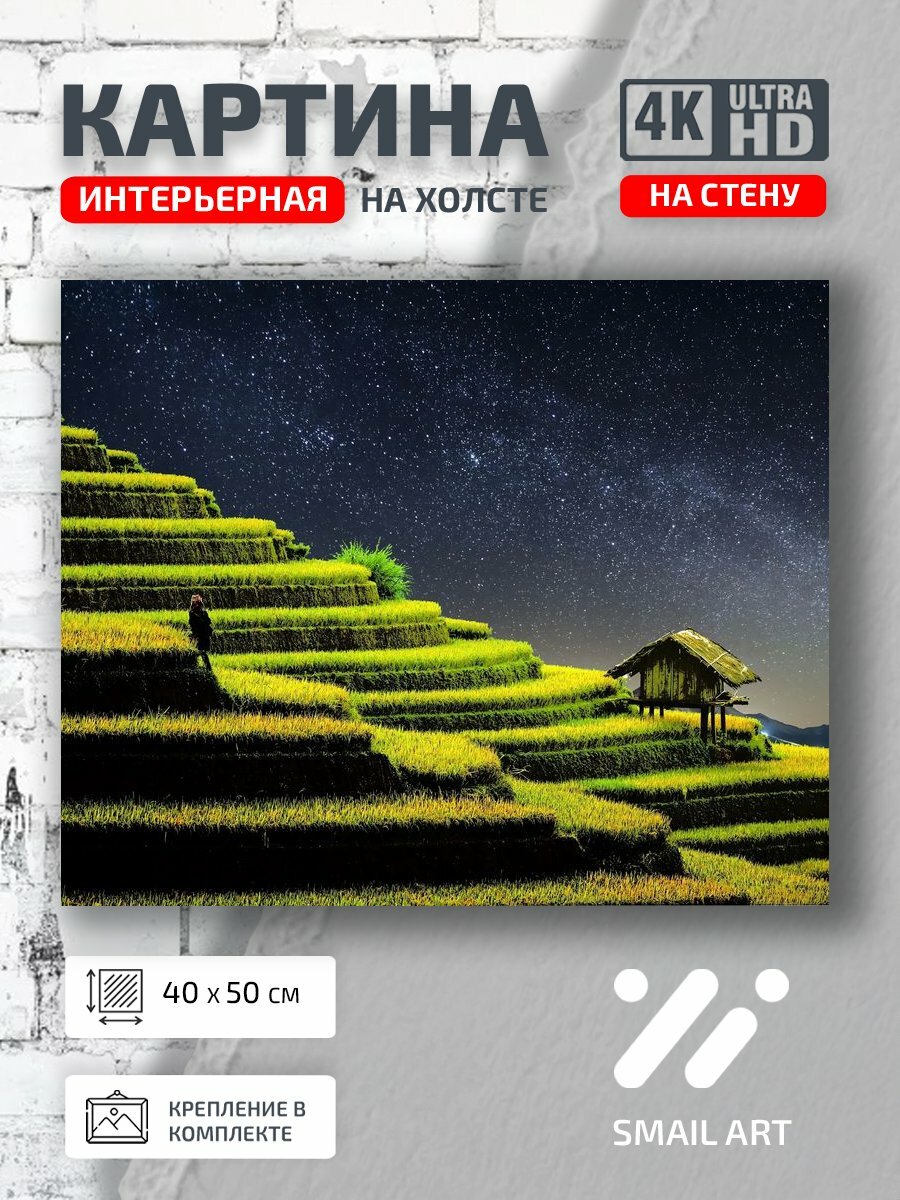 Картина на холсте интерьерная 40 на 50 на стену Звезды Space для кабинета космос интерьер
