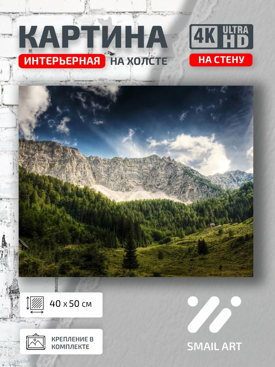 Картина на холсте интерьерная 40 на 50 на стену Лес forest для офиса пейзаж интерьер декор