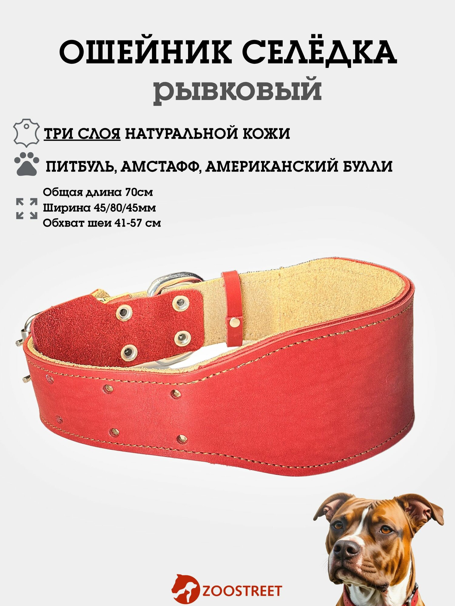 Ошейник рывковый селедка, трехслойный усиленный, кожаный из натруральной кожи для крупных собак пород питбуль, амстафф, булли