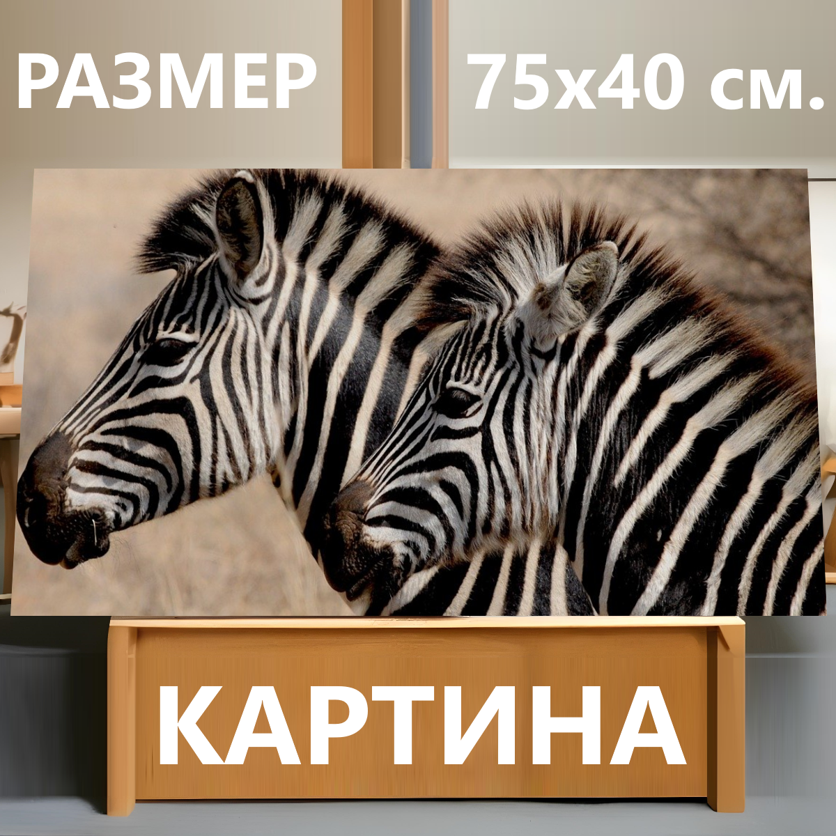 Картина на холсте "Зебры, головы, полосы" на подрамнике 75х40 см. для интерьера