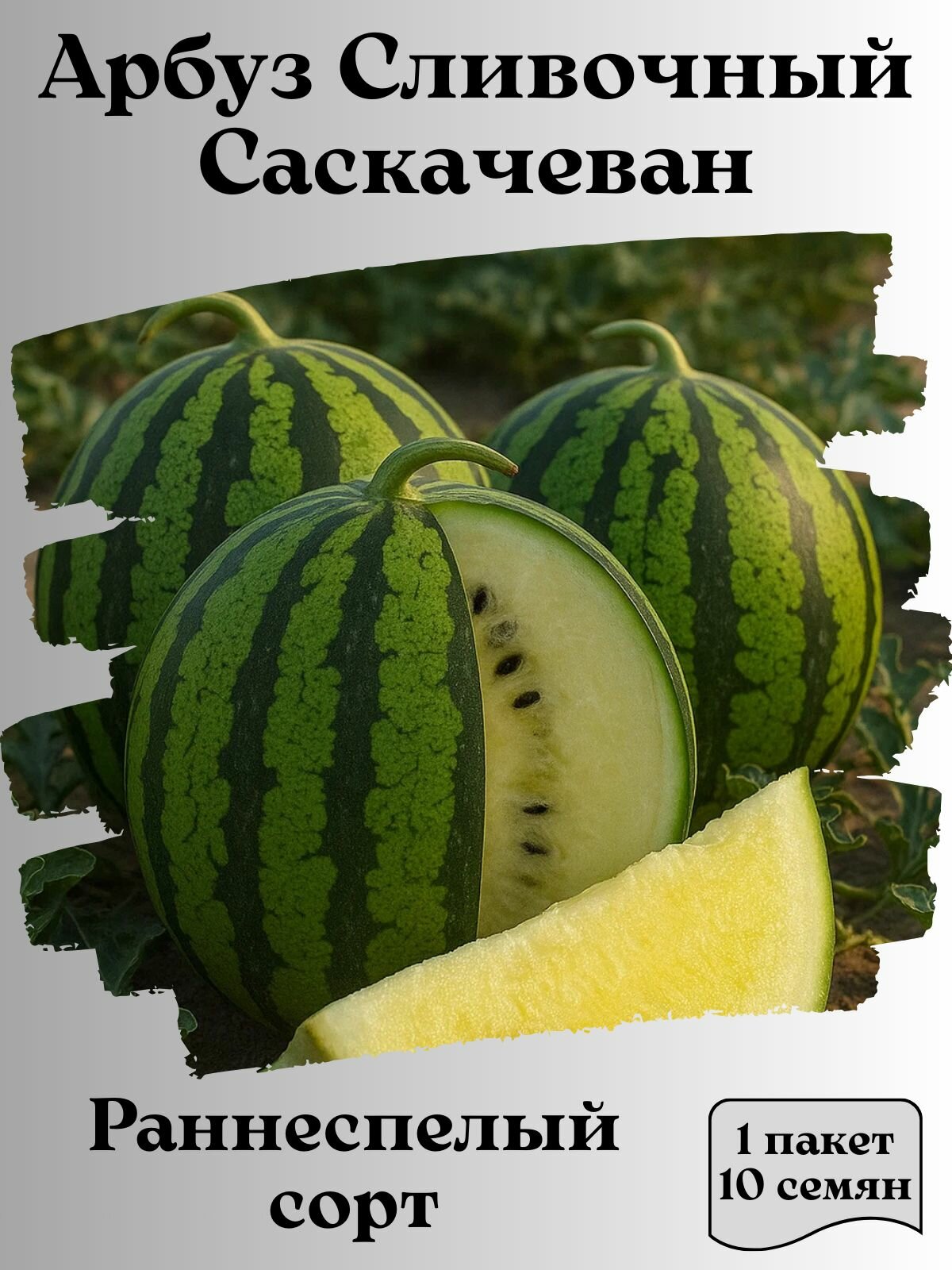 Арбуз Сливочный Саскачеван, семена, 10 шт, 15 гр.