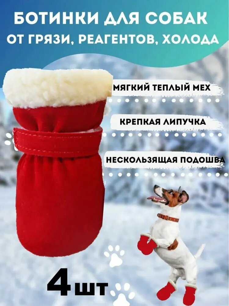 Обувь для собак