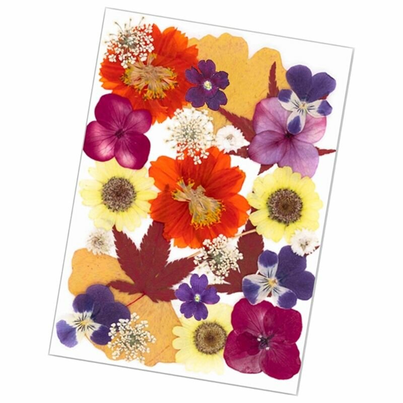 1 упаковка из 25 штук, серия рождественских сухоцветов, набор материалов для поделок своими руками-смешанный цвет