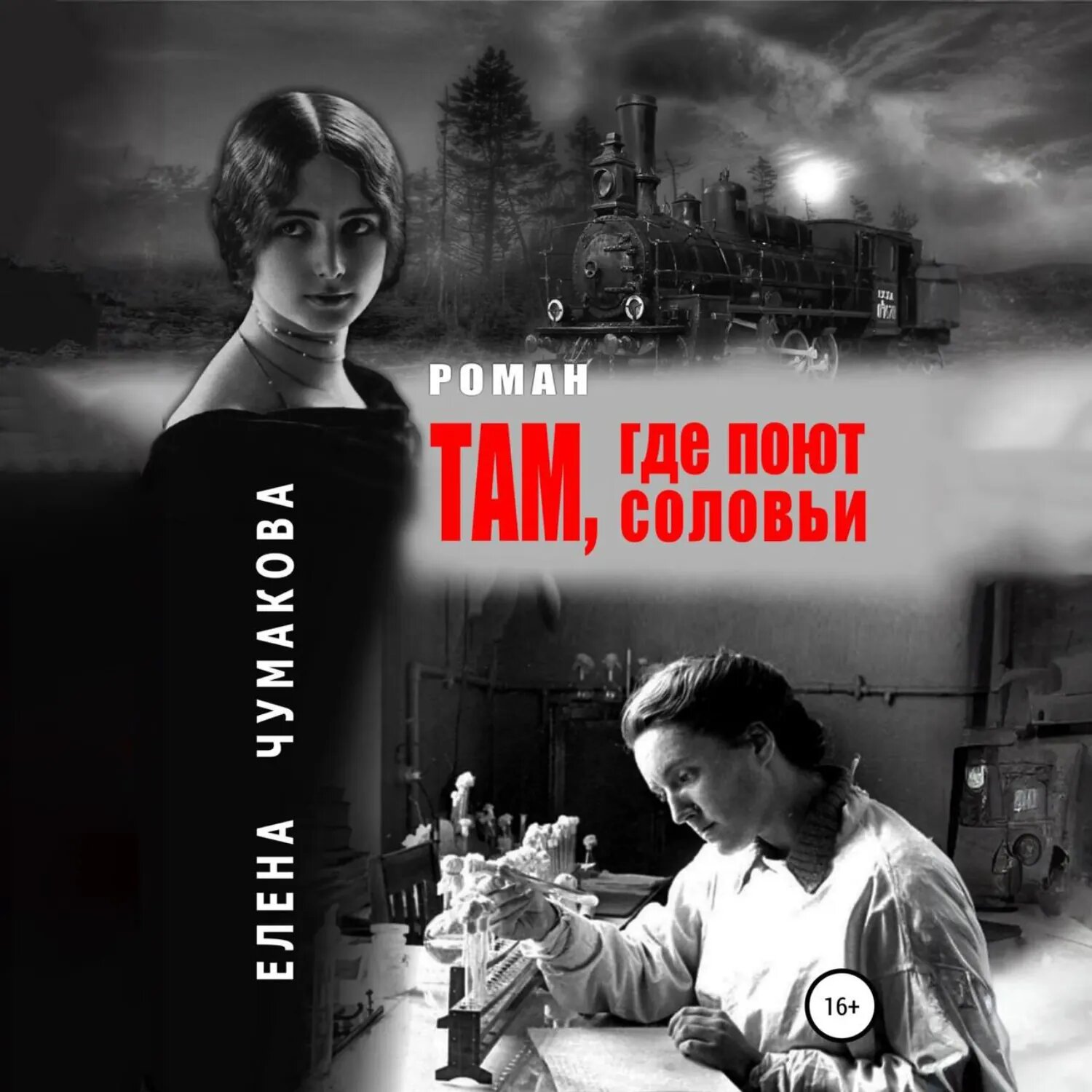 Там, где поют соловьи [Аудиокнига]