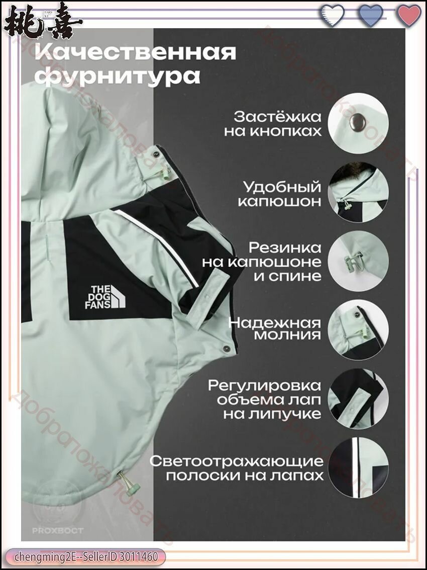 Одежда для животных — фото 1
