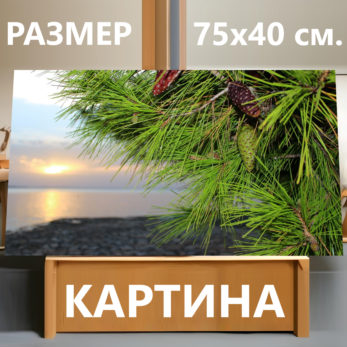 Картина на холсте "Сосна, сосновая шишка, пляж" на подрамнике 75х40 см. для интерьера