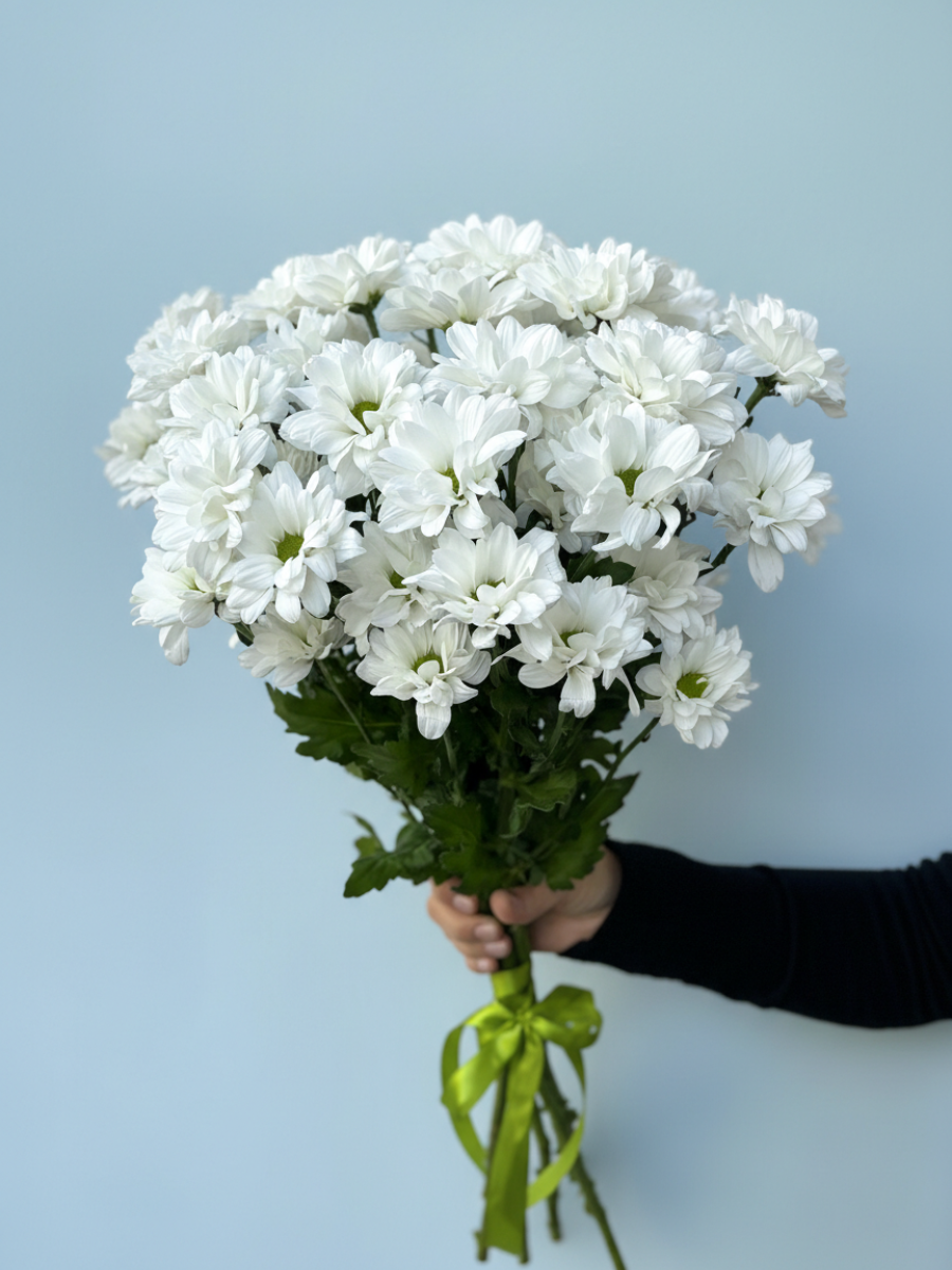 Букет из 5 кустовых хризантем под ленту, монобукет, 50 см | Турбофлора