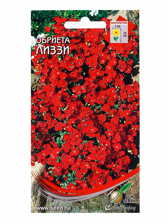 Семена цветов Обриета Лиззи 60 шт