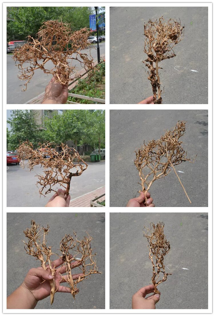 Тонкие ветви для аквариумного ландшафта, южноамериканские аквариумы, бразильский мх, ландшафтные работы с травами,