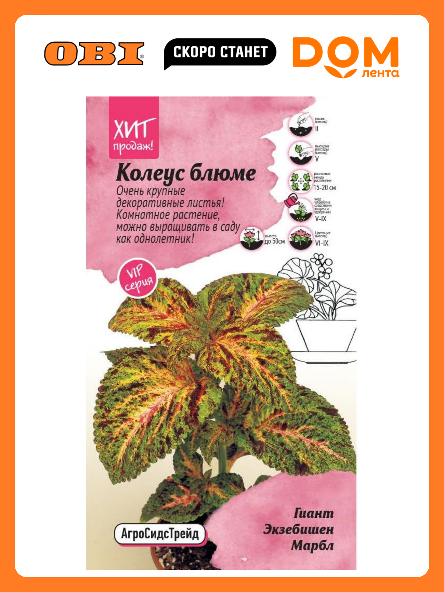 Колеус блюме Гиант Экзебишен Марбл 10 шт АСТ