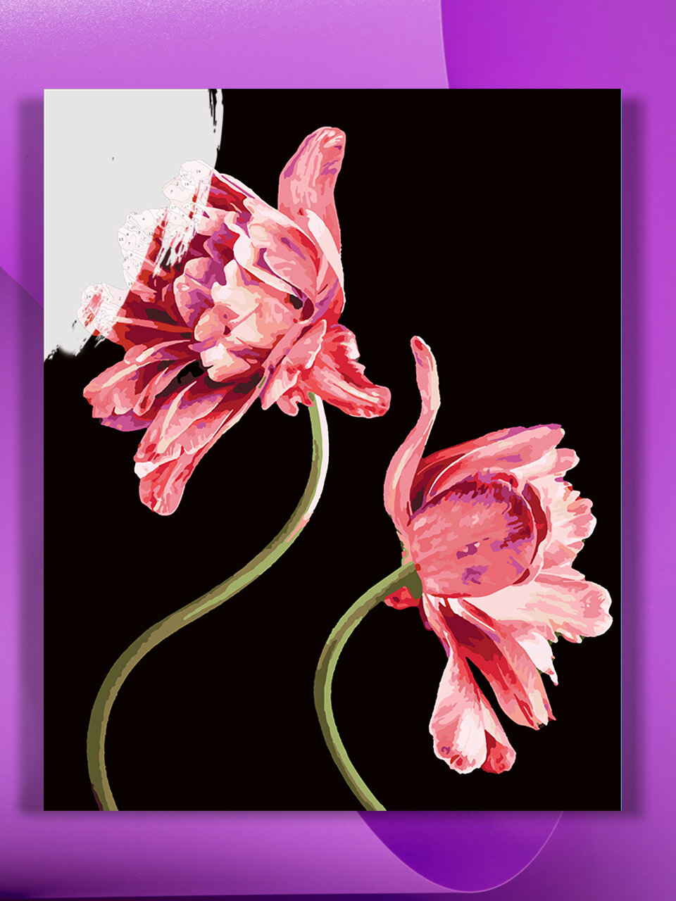 Картина по номерам на холсте Тюльпаны на черном фоне, 40 х 50 см