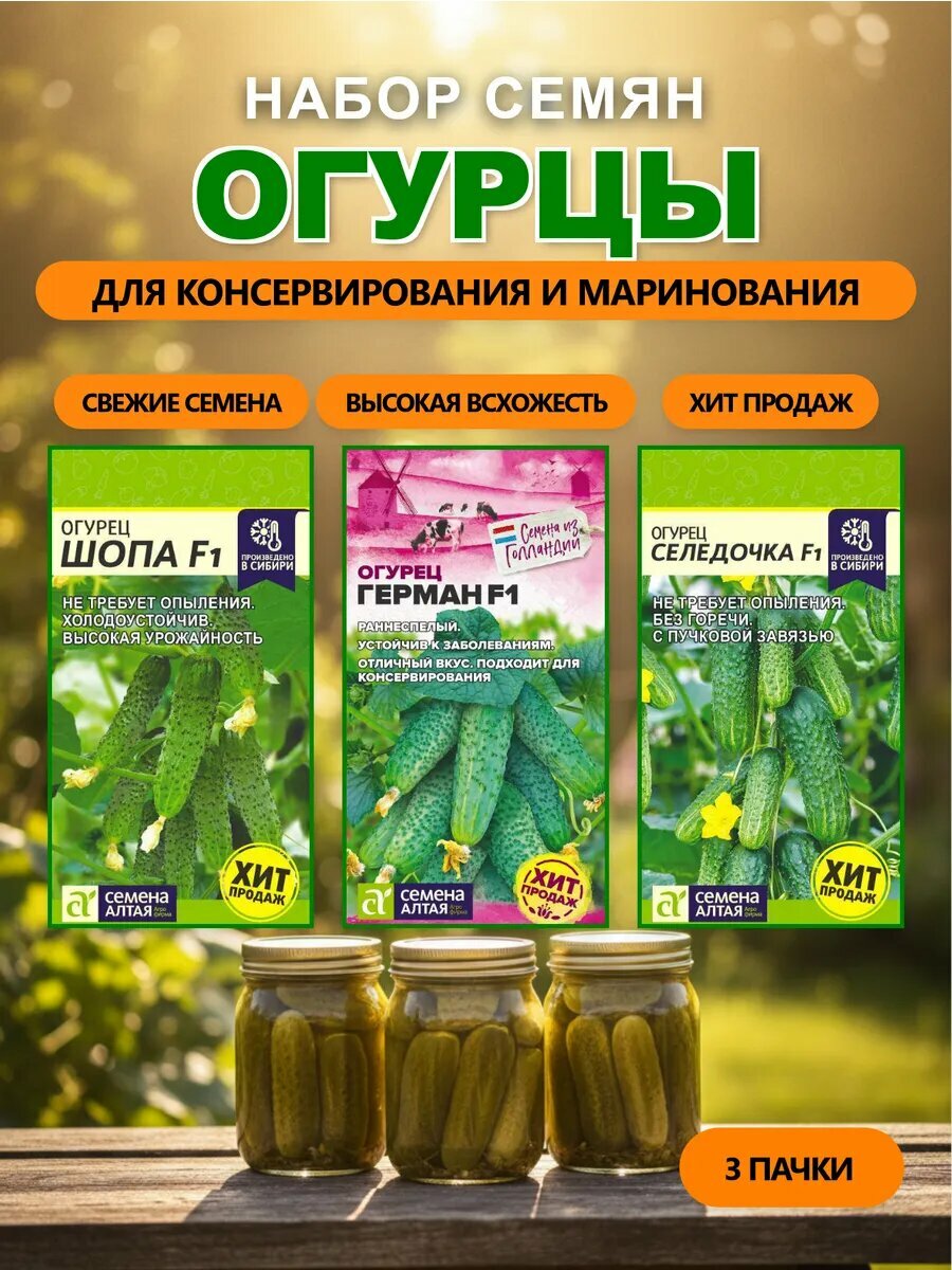 Набор семян огурцов для консервирования и маринования, 3 сорта