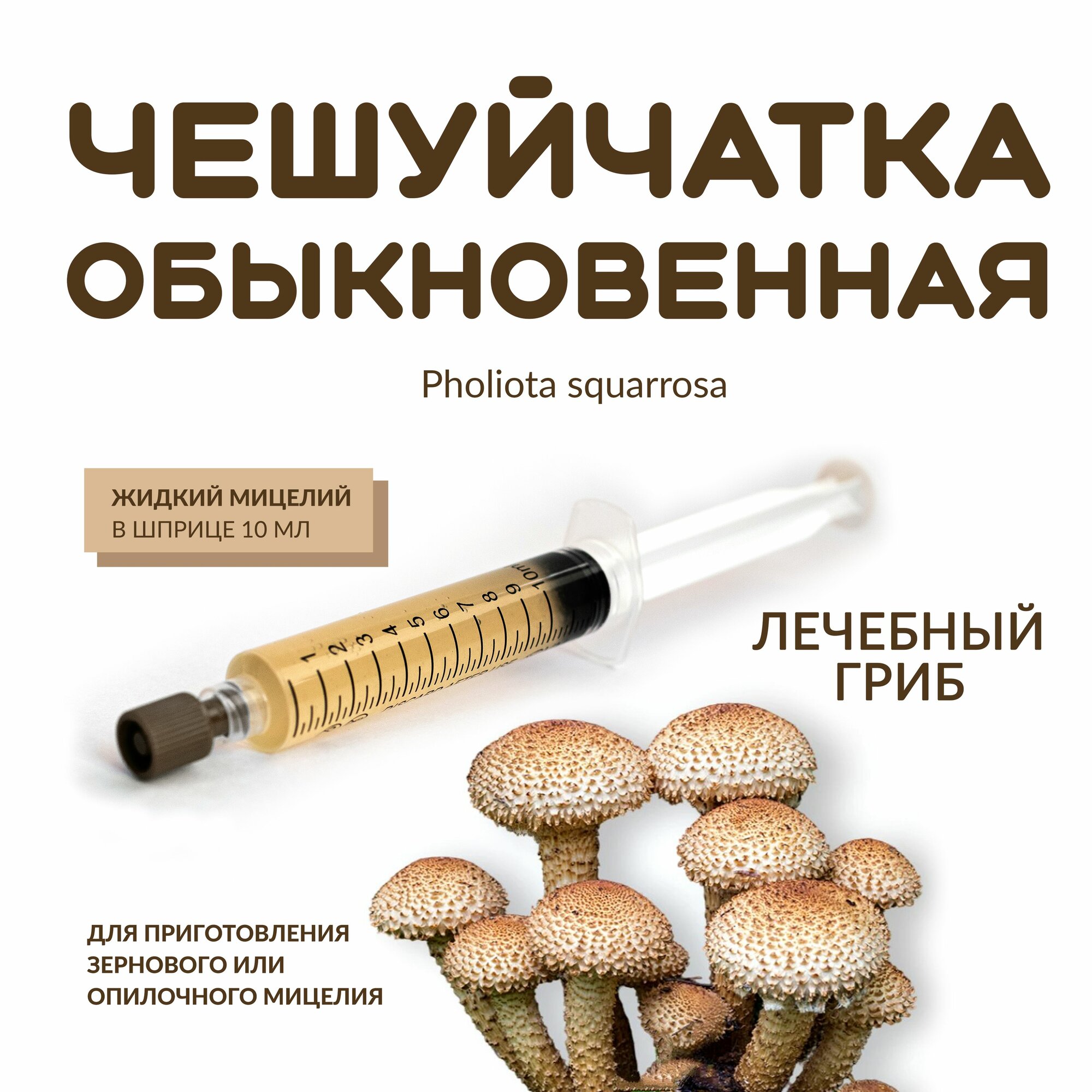 Жидкий мицелий Чешуйчатки обыкновнной