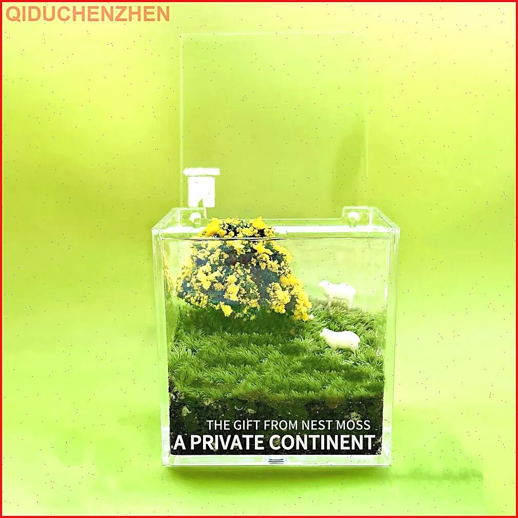 Маленький мир мха: Приватный континент Микроландшафт с мхом