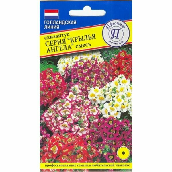 Семена цветов Схизантус Крылья ангела - неприхотливый однолетник. Престиж