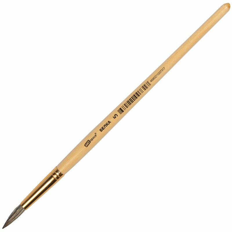 5 кистей ArtSpace "белка" №05 круглая (SH5_2368)