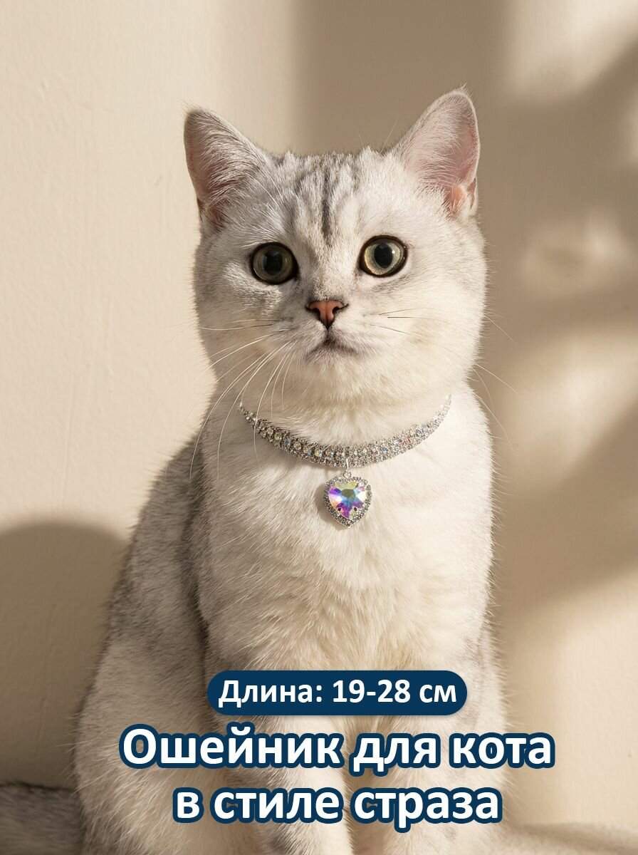 Ошейник для кошек и собак декоративный стразовый с сердечным подвесом, регулируемая длина 19-28 см, радужный ошейник декоративный ошейник с подвесом ошейник стразами