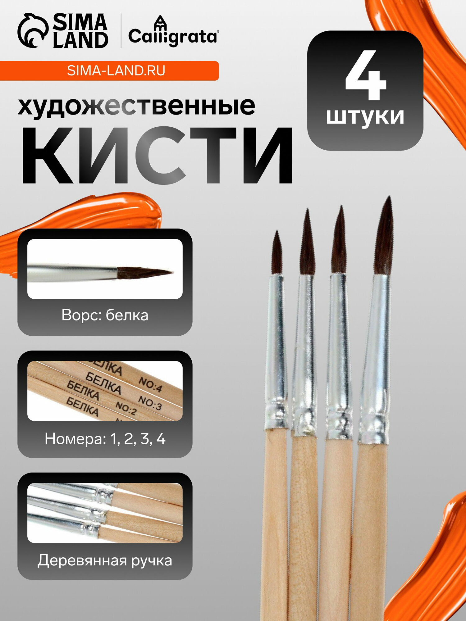 Набор кистей для рисования, белка, 4 штуки: № 1, 2, 3, 4, круглые, деревянная ручка, международный размер