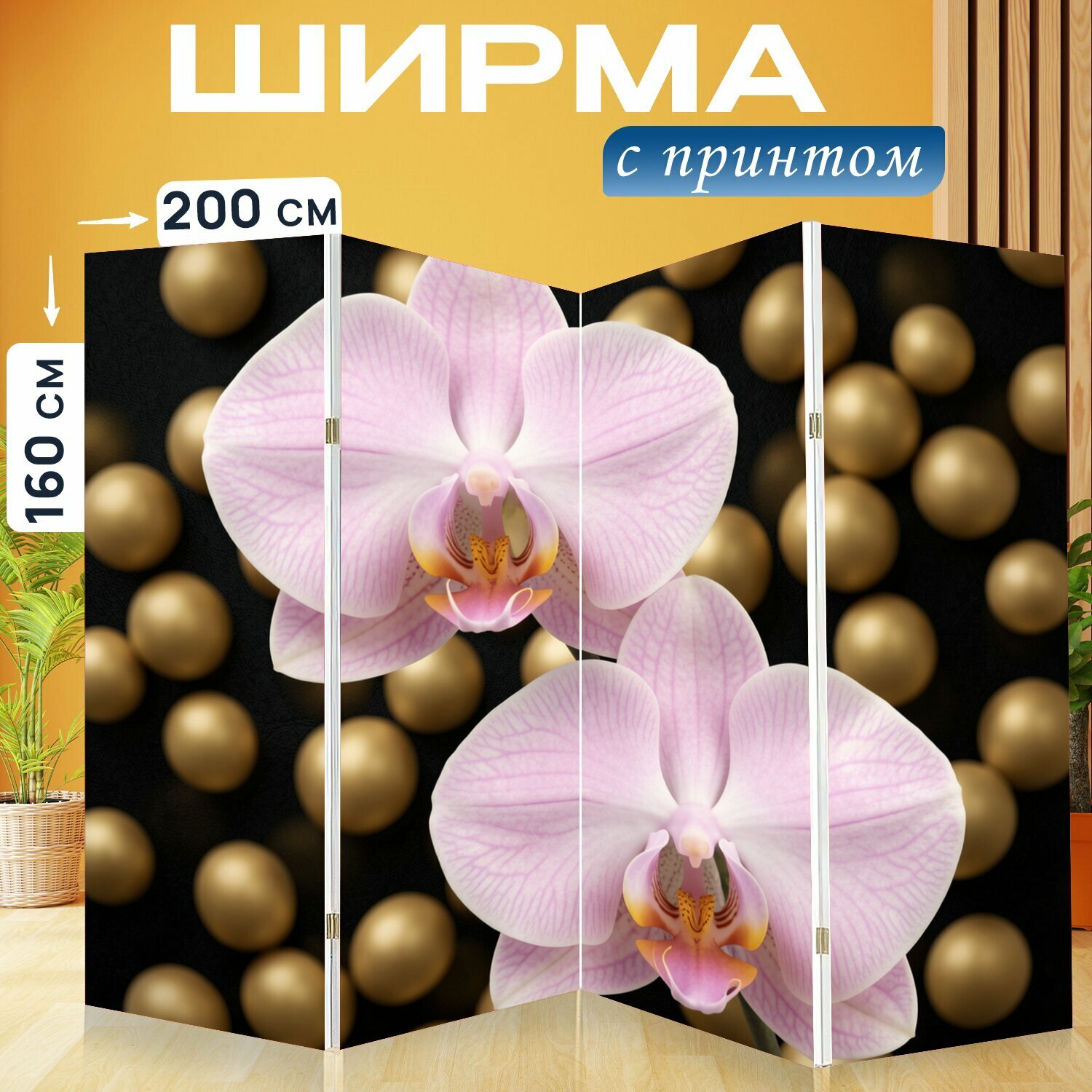 Ширма "Орхидеи на темном фоне. Нежные розово-белые цветы с тонкими прожилками на черном фоне с золотистыми." перегородка для зонирования комнаты с принтом 200x160 см. на холсте