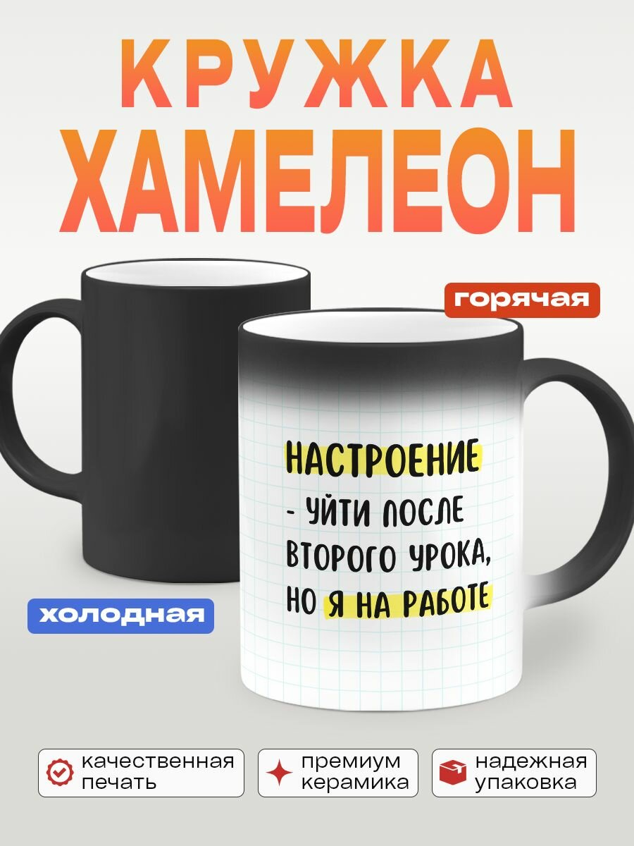 Кружка хамелеон с приколом в подарок учителю, 330 мл, 1 шт.