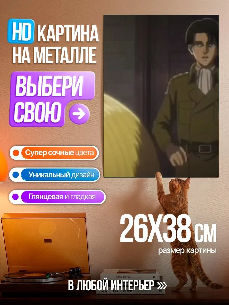 Картина на HD металле Капитан Леви