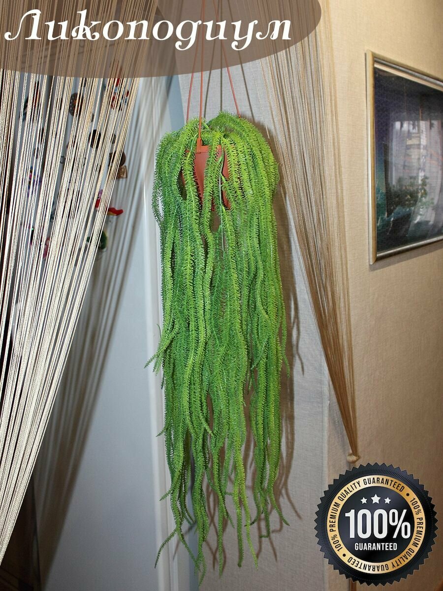 Искусственное растение ликоподиум в подвесном кашпо