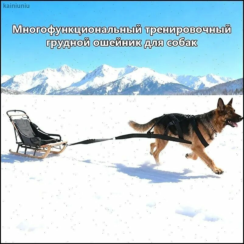 Тяжелая лента для больших и средних собак, тренировочная тяговая лента типа Y