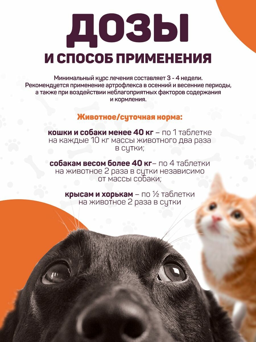 Глюкозамин хондроитин Dr.Sara для собак и кошек, витамины для суставов