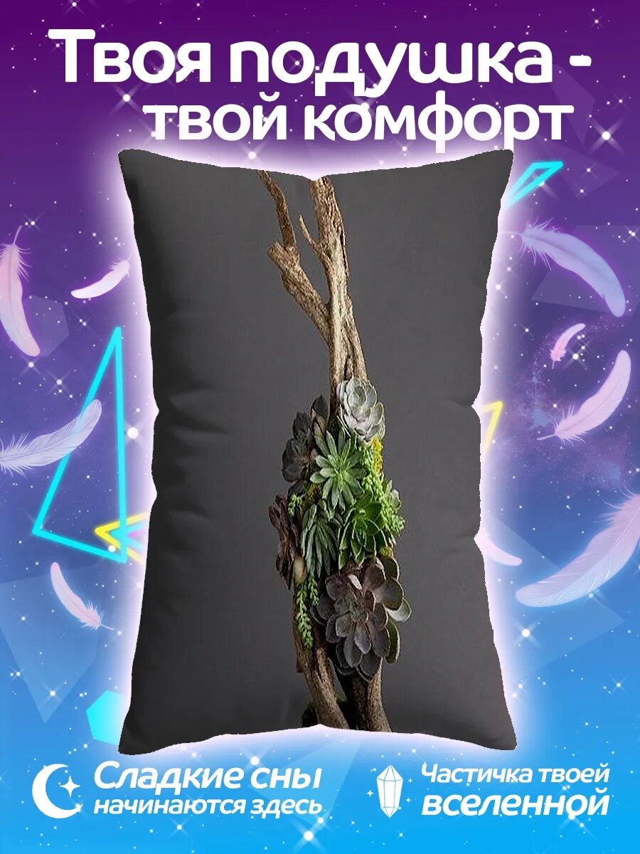 Подушка дакимакура Суккуленты на коряге