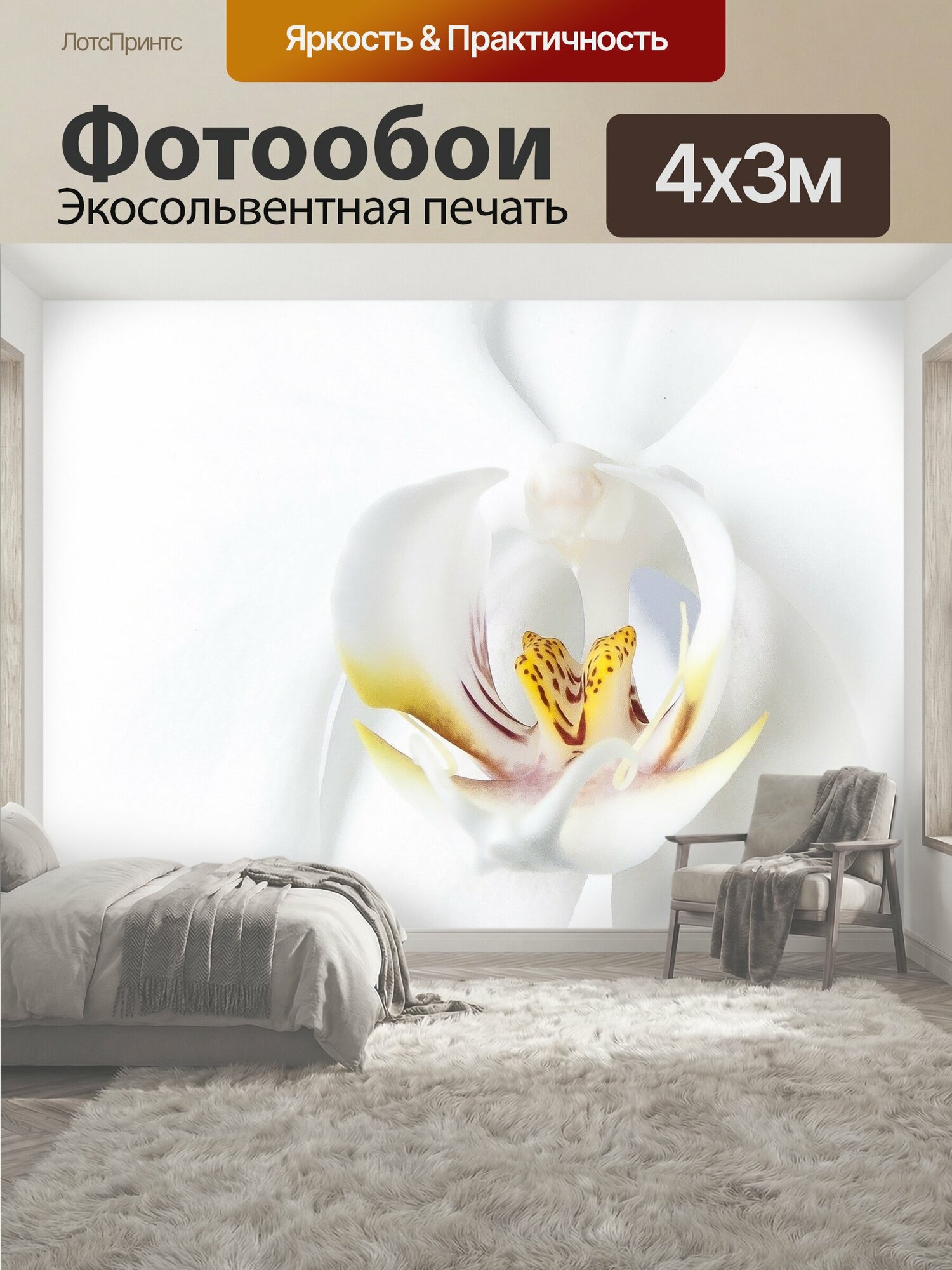 Фотообои "Фаленопсис, орхидея, белый" 400x300 см. экосольвентная печать