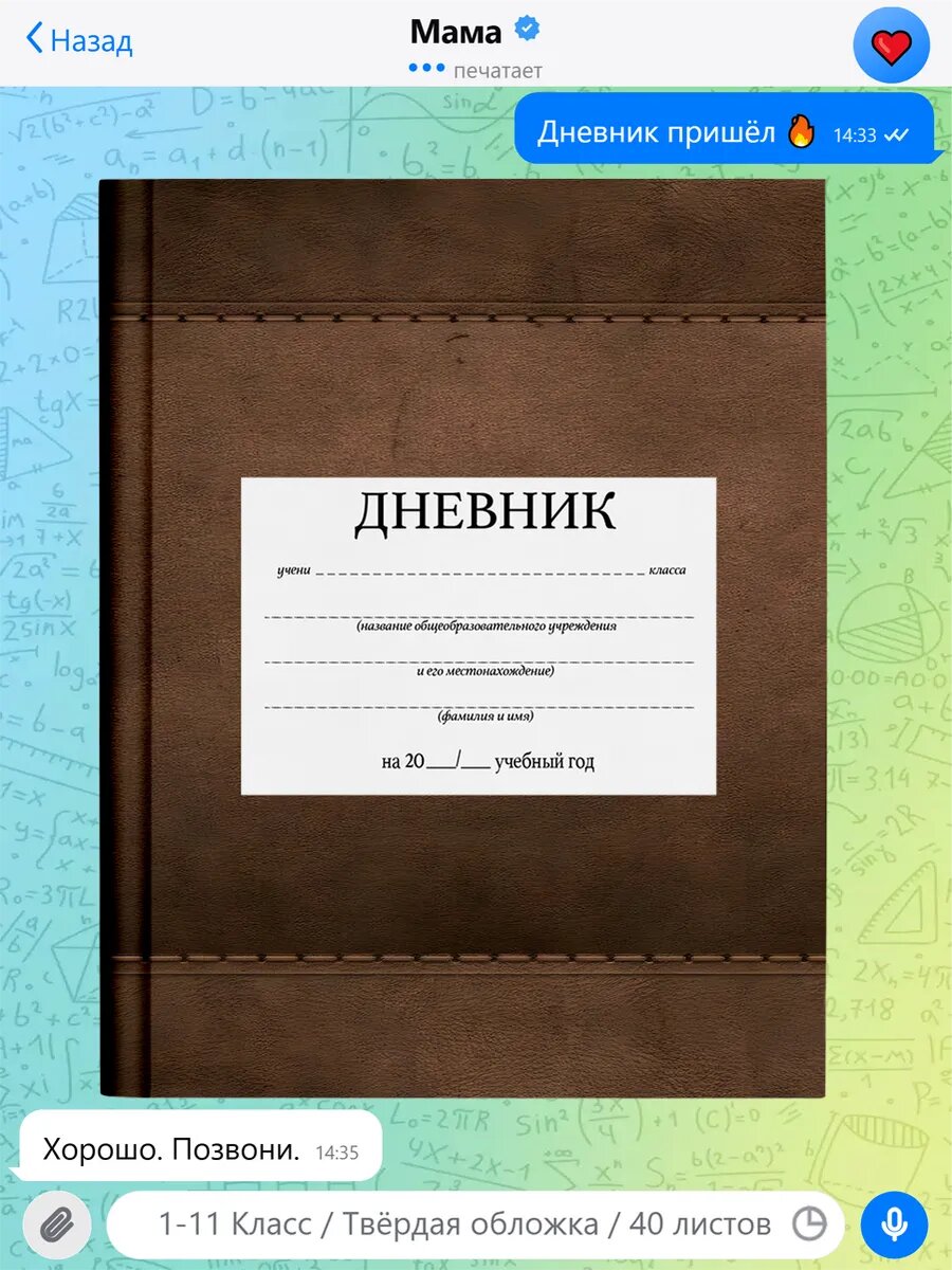 Школьный дневник с принтом y2k pinterest