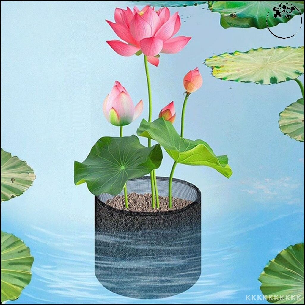 Эксклюзивные сетчатые контейнеры для высадки, 4 штуки