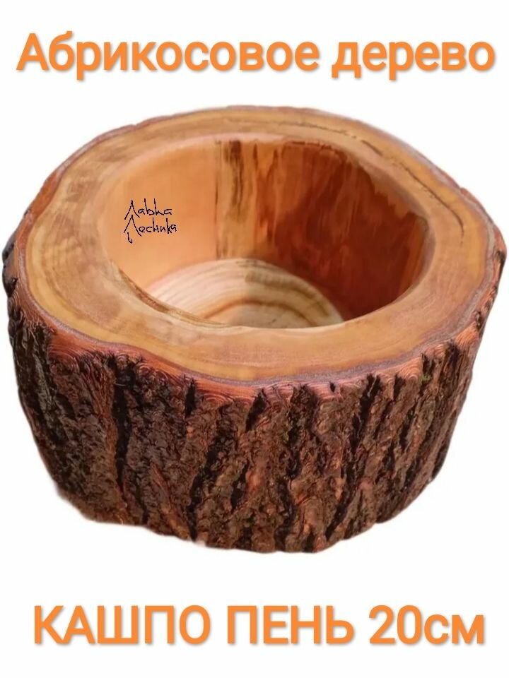 Кашпо-ваза с трещиной "Пень Премиум" D18-20 высота 10см полено из абрикоса с корой для декора интерьера. ЭКО кругляшок из бревна