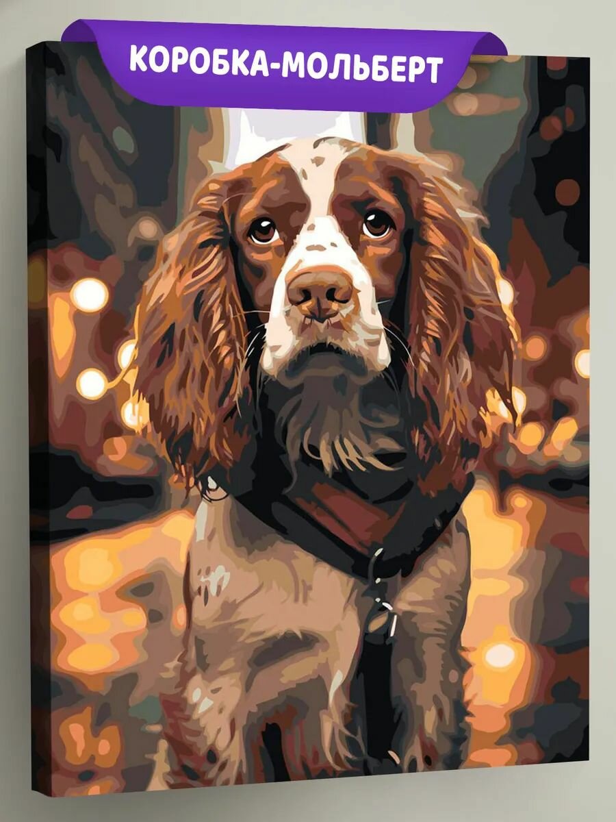 Картина по номерам на холсте с подрамником 40x50 "Собаки: Английский спрингер спаниель", Город