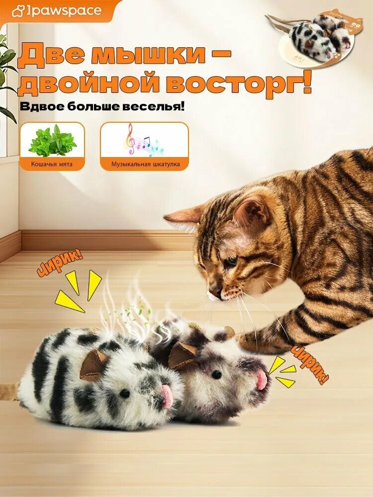 Мышка Кошка Игрушки Tease Cat Интерактивные игрушки Catnip Squeaker Pack of 2