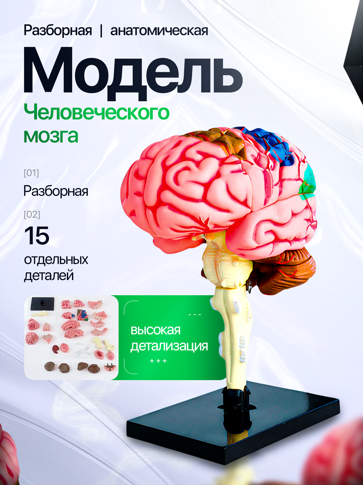 Разборная анатомическая 4D-модель человеческого мозга Corpo de cérebro