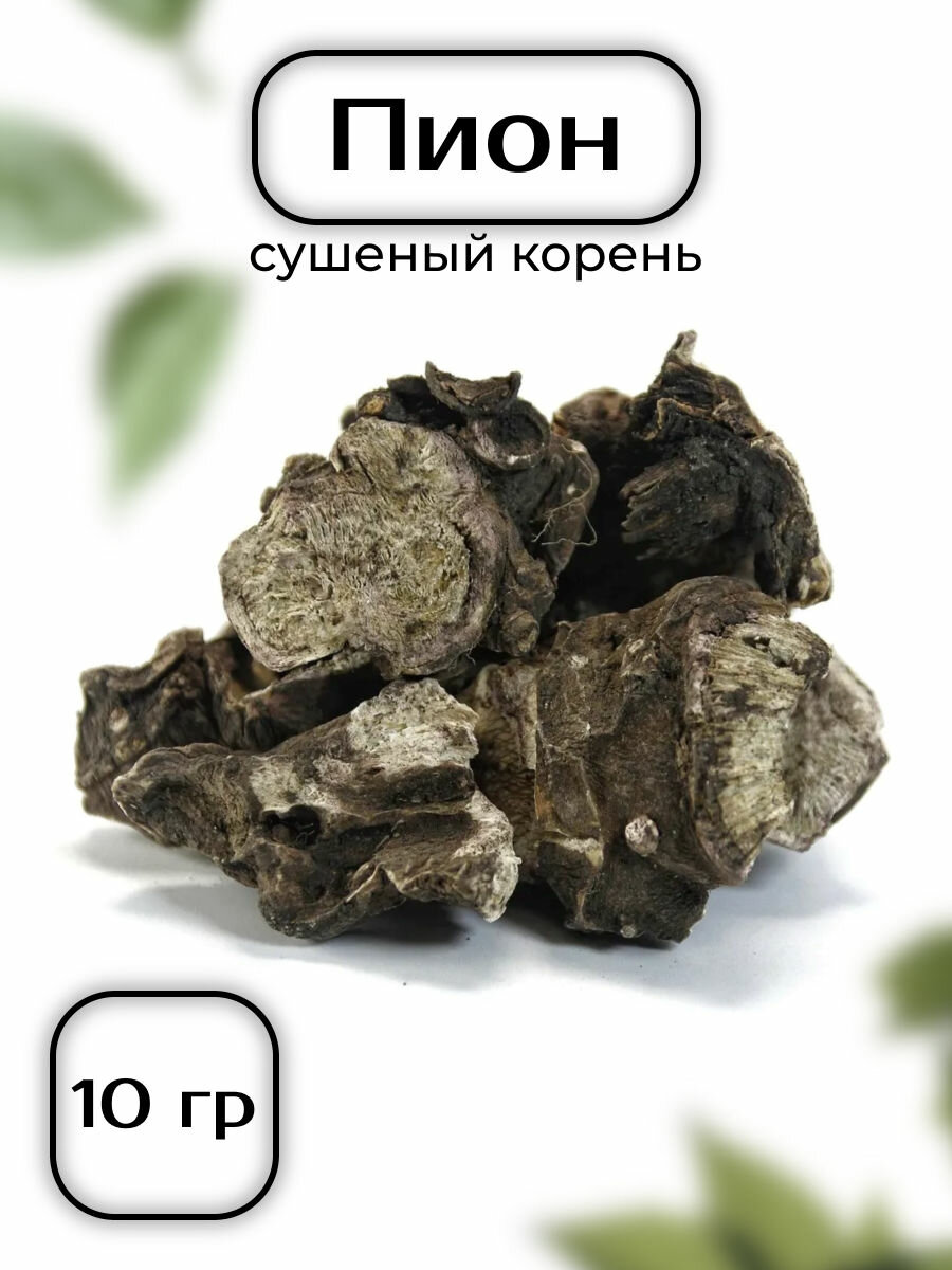 Пион сушеный корень - 10 гр