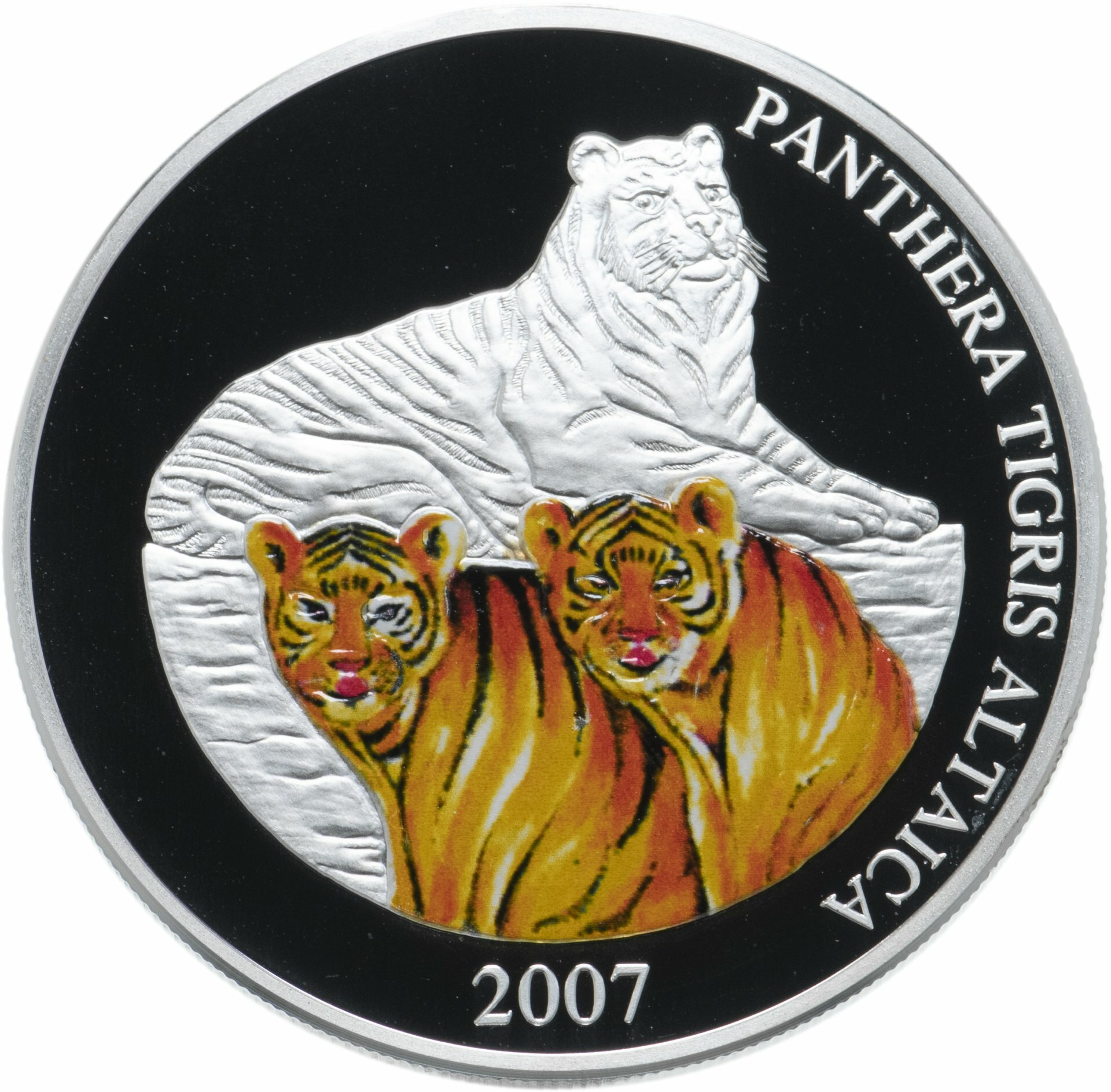 Монголия 5000 тугриков 2007 Proof "Амурский Тигр Panthera Tigris Altaica" в футляре, с сертификатом, Серебро 999